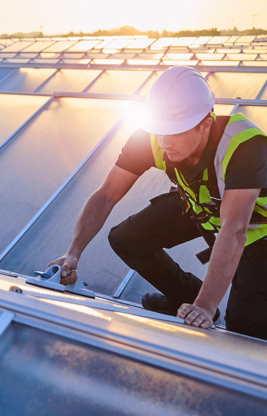 Specialist in greenhouse and climate technology | Hedafor