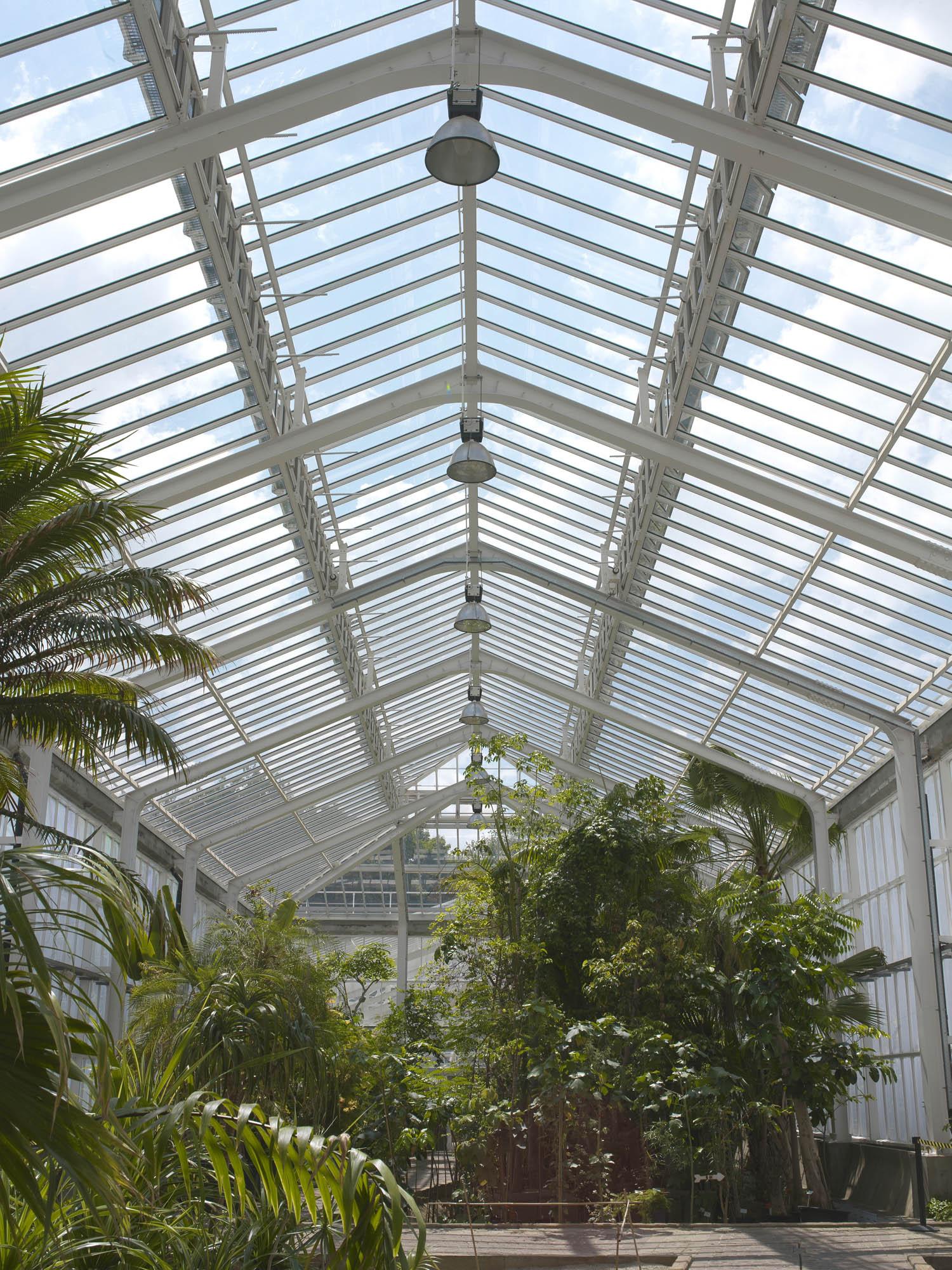 Serre botanique ultramoderne dans le Plantentuin Meise.