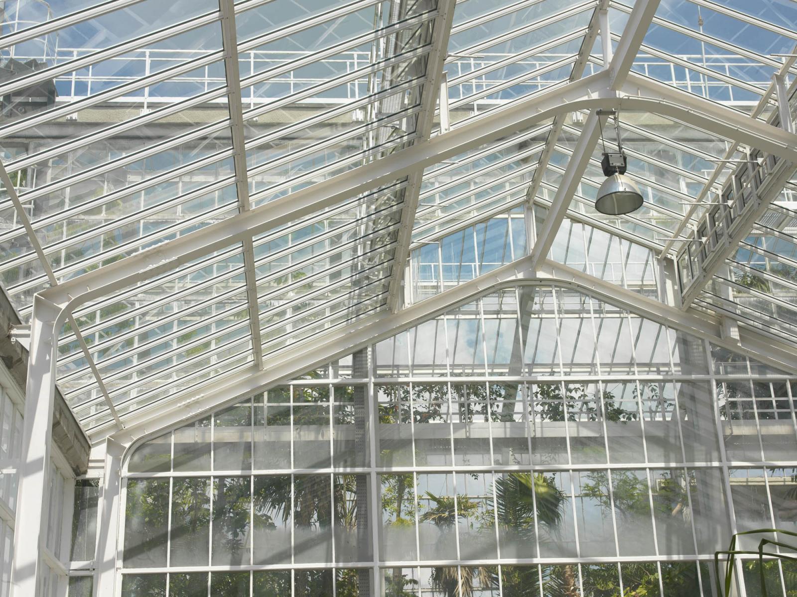 Serre botanique ultramoderne dans le Plantentuin Meise.