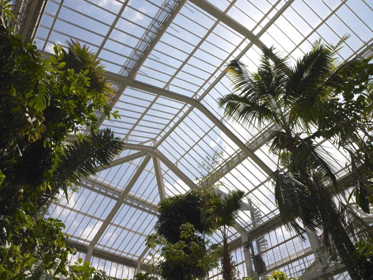 Serre botanique ultramoderne dans le Plantentuin Meise.